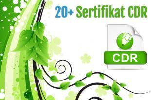 Download Gratis Sertifikat CDR (CorelDRAW) Siap Pakai | Info Menarik
