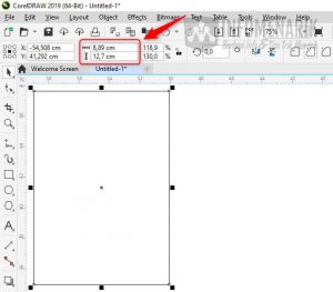 Daftar Ukuran Foto dan Pas Foto Lengkap Semua Ukuran | Info Menarik